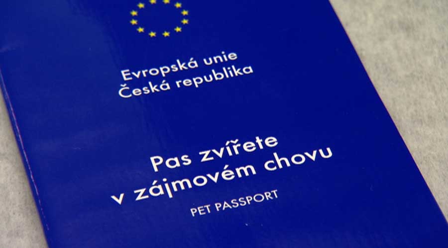 Jak na vystavení pasu pro svého psa či kočku? - Veterix.cz